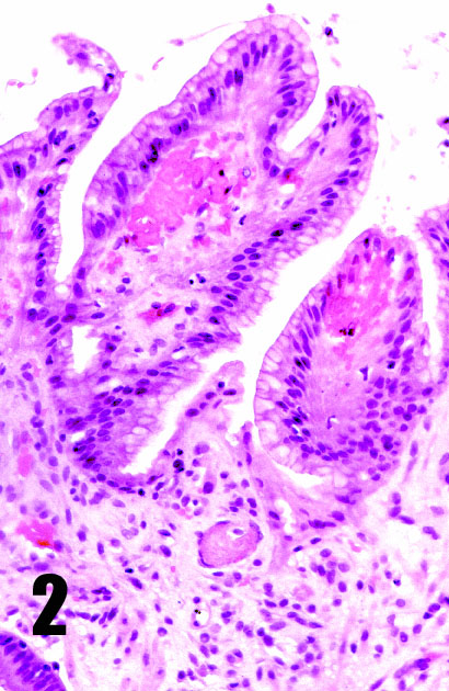 Untitled Document [www.uninet.edu]