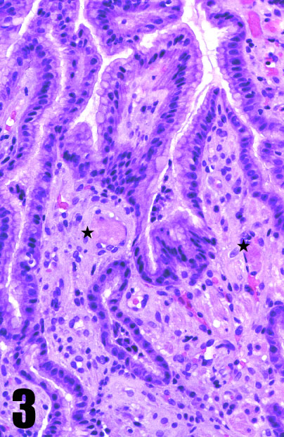 Untitled Document [www.uninet.edu]