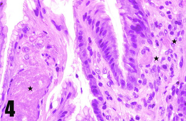 Untitled Document [www.uninet.edu]